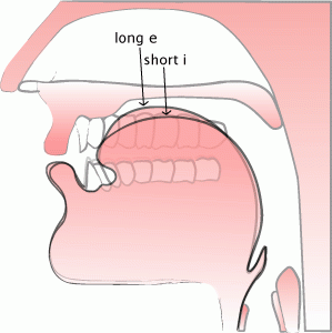 Secrets for Better Pronunciation: The Difference Between E and I Sounds ...