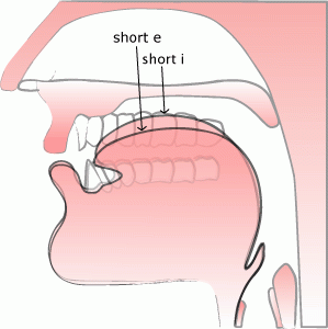 Secrets for Better Pronunciation: The Difference Between E and I Sounds ...